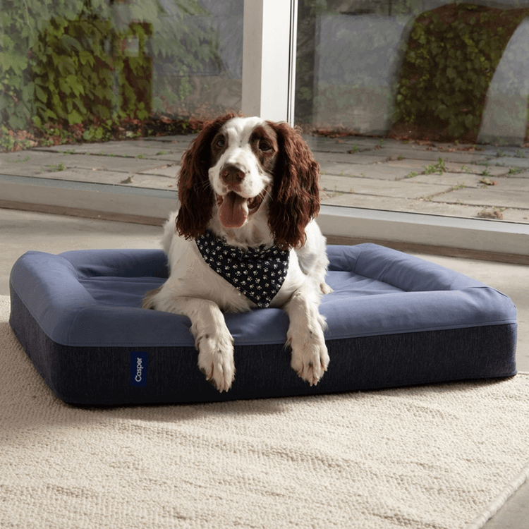 The Casper vs. Costco Casper Select Cooling Memory Foam Mattress